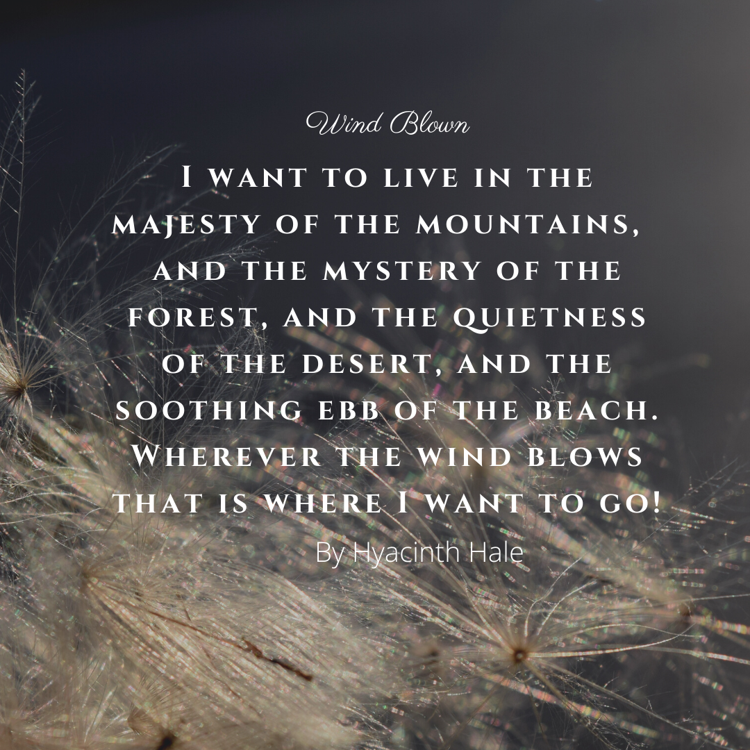 Wind Blown (New Graphic Art Poem) | Hyacinth Hale Poetry